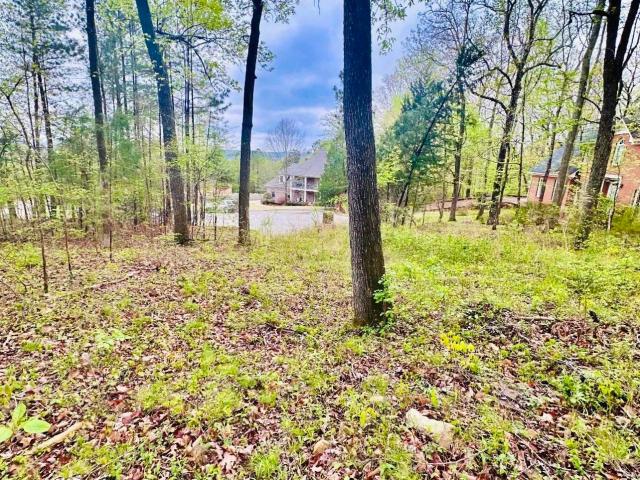 Lot 14 Murray Drive