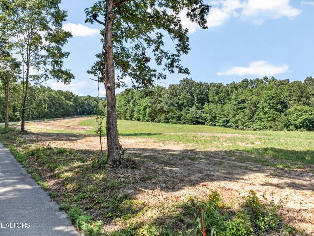 Lot 14 Smith Mountain Rd