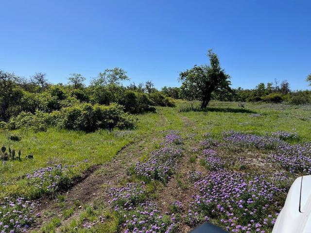 Lot 14 Sweet Wind Ln, Unit 14, Harper, TX 78631 | MLS #104106