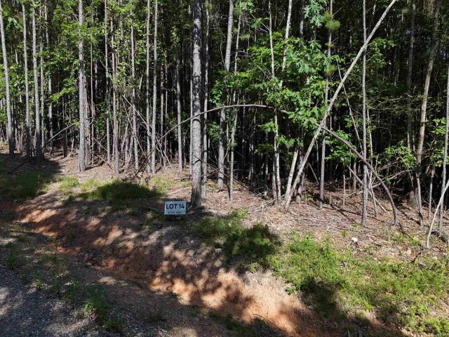 Lot 14 Polk Road 78