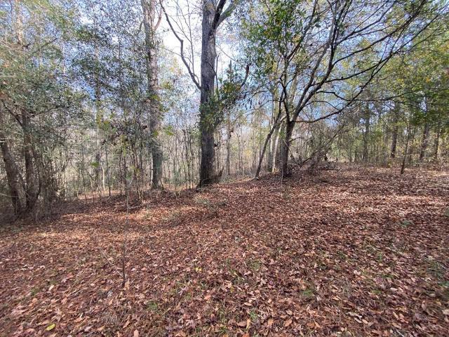 Lot 14 Robin Boulevard # 14