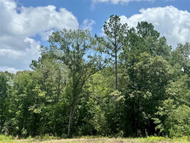 Lot 14 Riverstone Drive