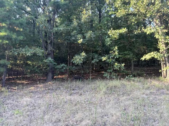 Lot 14 Ridge