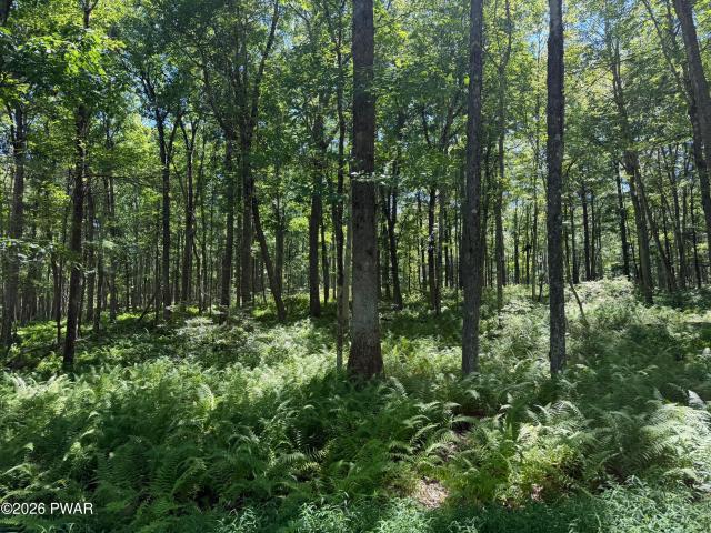 LOT 14 Woodlyn Acres Road
