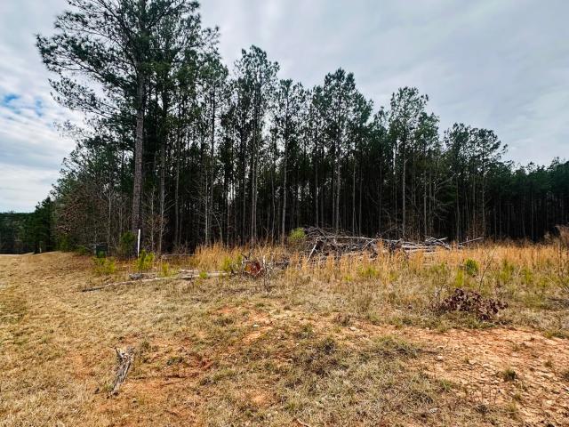 Lot 14 Wisteria Dr, Lincolnton, GA 30817 | MLS #98211 | Compass