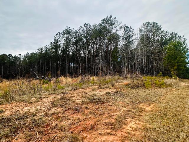 LOT 14 Wisteria Drive