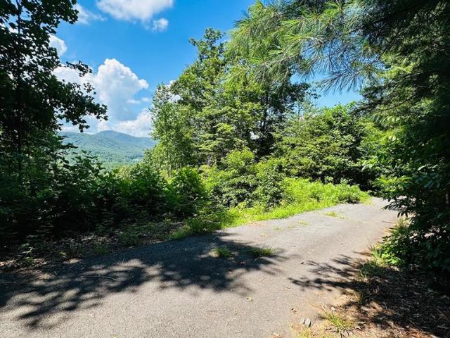 Lot 14 View Ridge Trail # 14