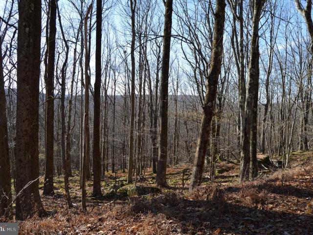 Lot 154 Daisy Drive