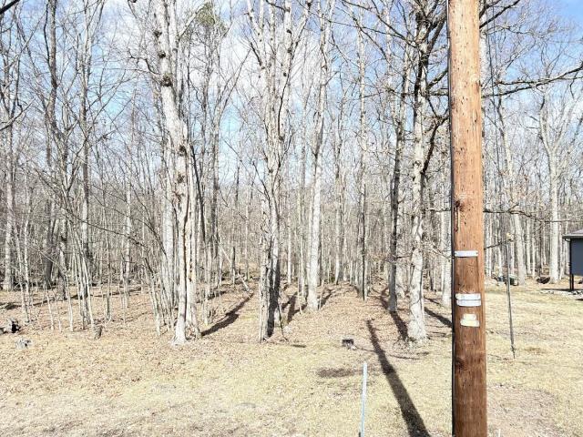 Lot 154 White Tail Circle