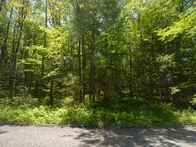 Lot 155 Chippewa Dr, Becket, MA 01223 | MLS #246632 | Compass