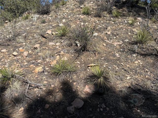 Lot 155 Tahmoush Lane