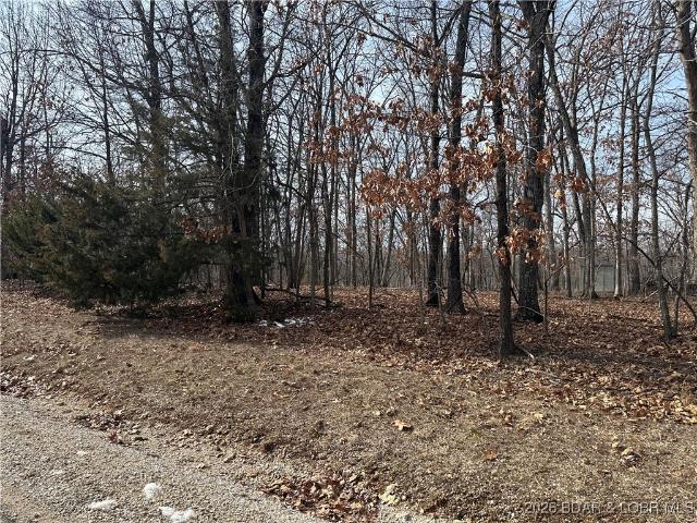 Lot 157 Anemone Rd, Four Seasons, MO 65049 | MLS #3583 | Compass