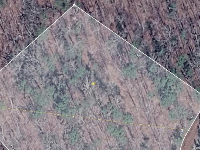 Lot 157 Lower Brow Road