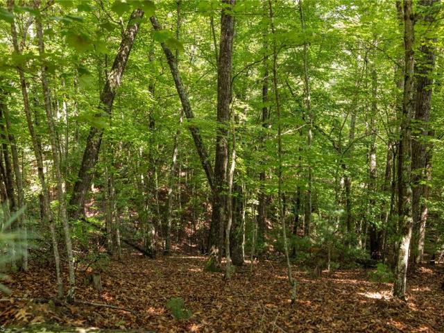 Lot 158 Carriage House Trail