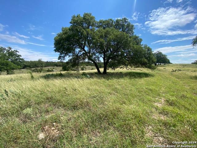 LOT 158 Cattlemans Crossing