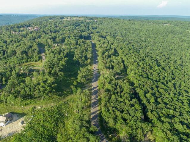 Lot 158 Fork Run Trail