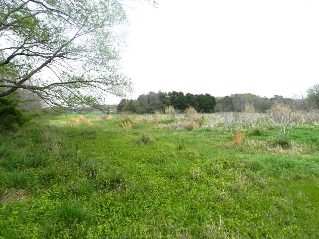 Lot 158 Spoonbill Ln