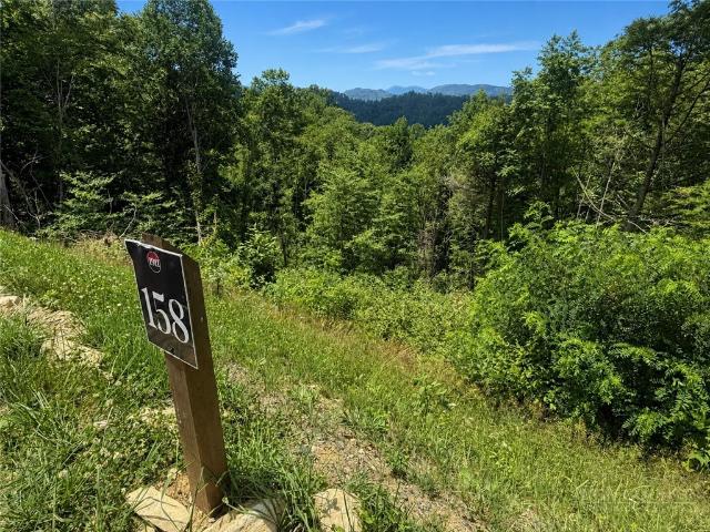 Lot 158 Tower Oaks Trail