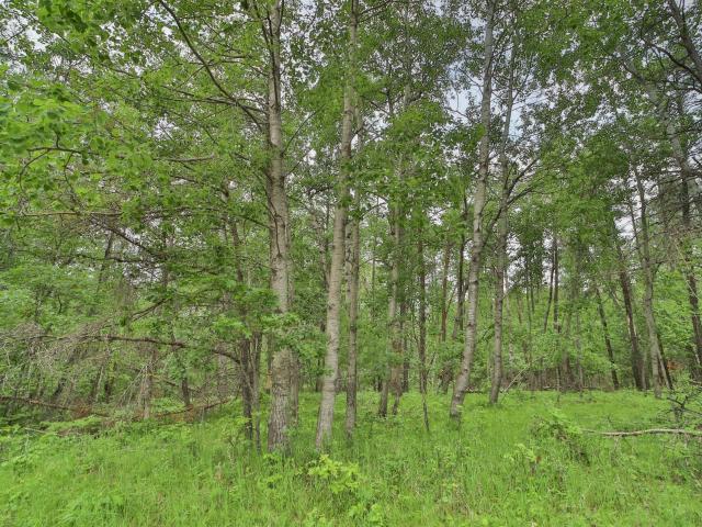 Lot 15 Cedar Street