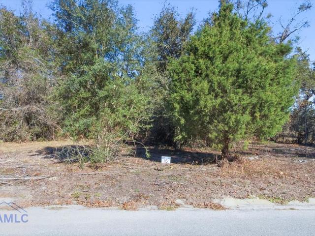 Lot 15 Bermuda Bluff Lane