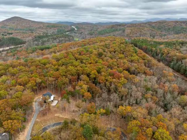 Lot 15 Briar Creek Ct, Morganton, GA 30560 MLS 10411195