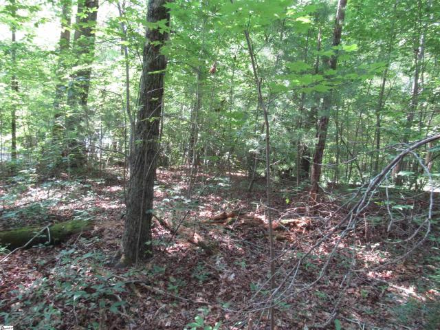 00 Gauley Falls Road # Lot 15 Gauley Falls