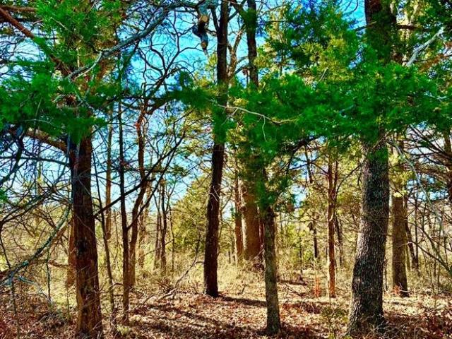 Lot 15 Dublin Cir, Gordonville, TX 76245 | MLS #21153 | Compass