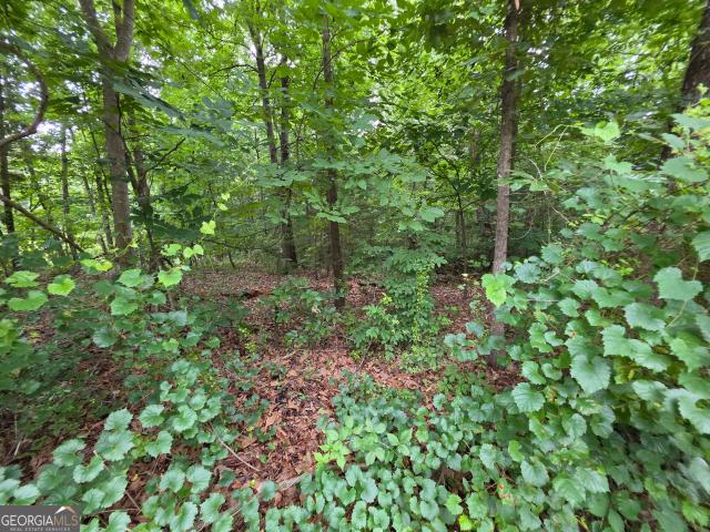 LOT 15 Harbor Heights Circle