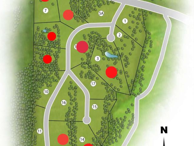 Lot 15 n starling st