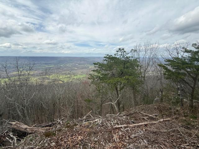 Lot 15 Scenic Highway