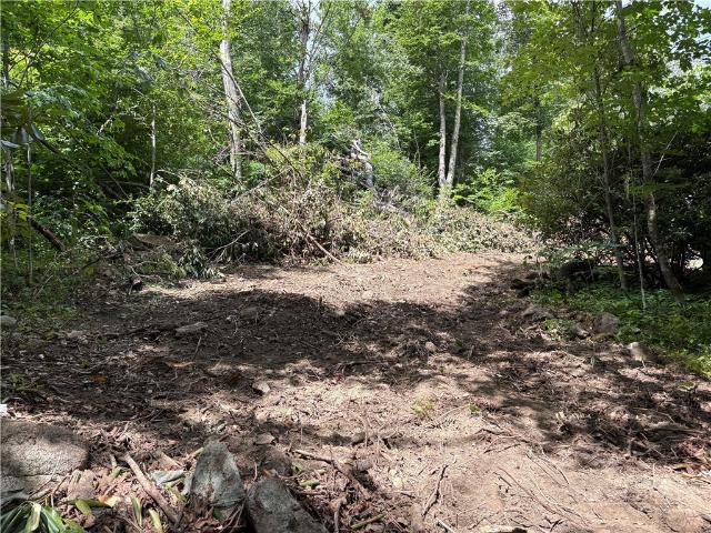 Lot 15 Shanty Springs Road