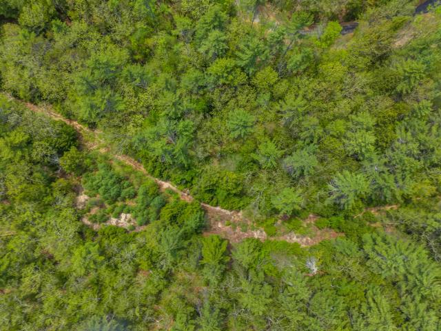 Lot 15 Pine Point Road # 15