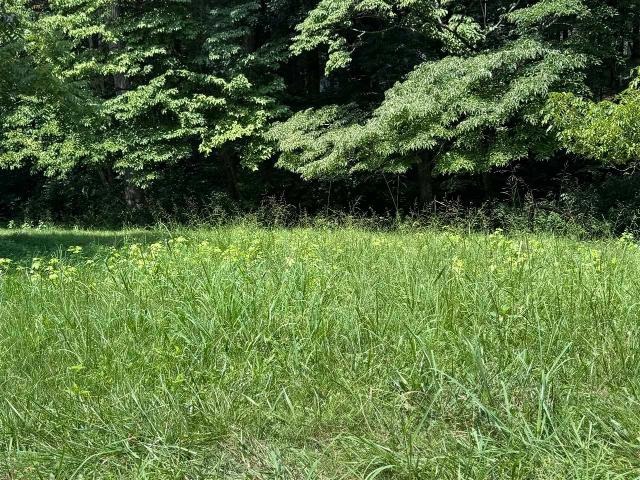 Lot 15 Runaway Drive