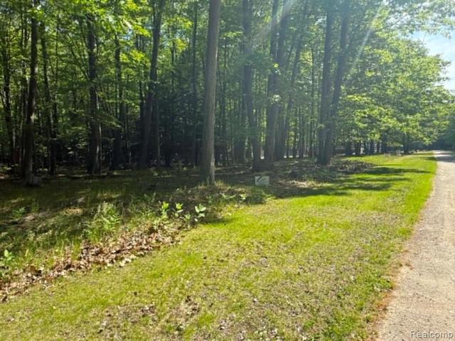 Lot 15 Towering Oaks Drive