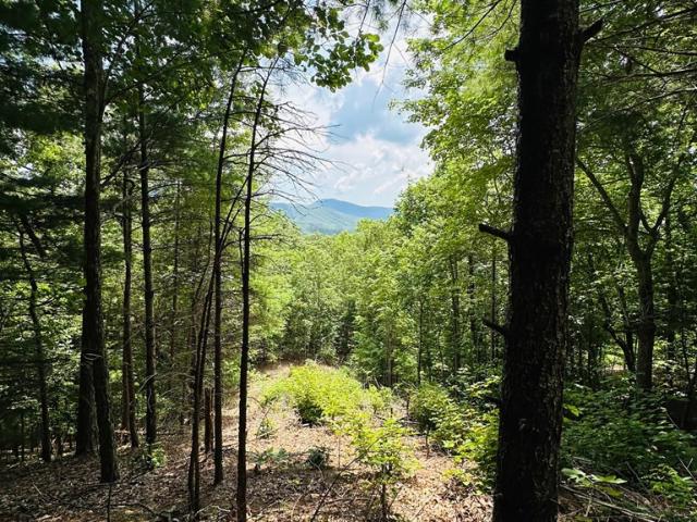 Lot 15 View Ridge Trail # 15