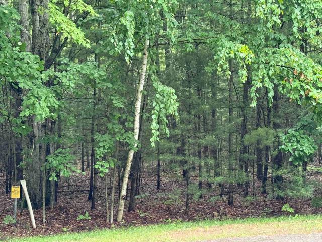 Lot 15A Sunset Court