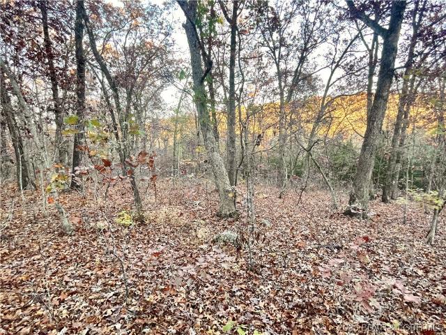 Lot 164 Illinois Ln, Rocky Mount, MO 65072 | MLS #3559 | Compass