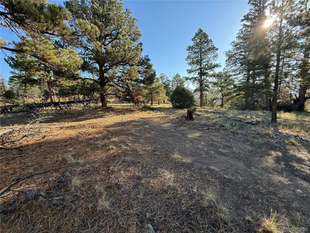 Lot 164 Tahmoush Lane