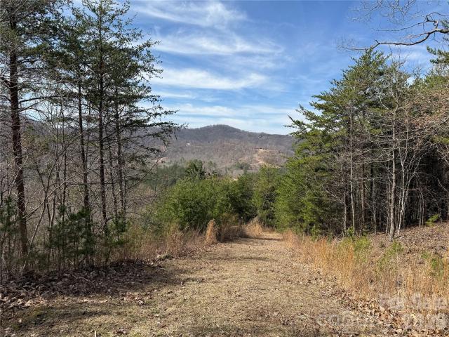 Lot 165 Pinegrove Drive # 165