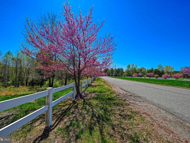Lot 166 Travellers, Mineral, VA 23117 | MLS #VALA2009 | Compass