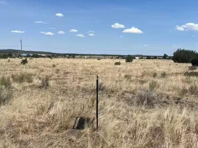 Lot 167 N Cr 2005, Nutrioso, AZ 85932 MLS 247260