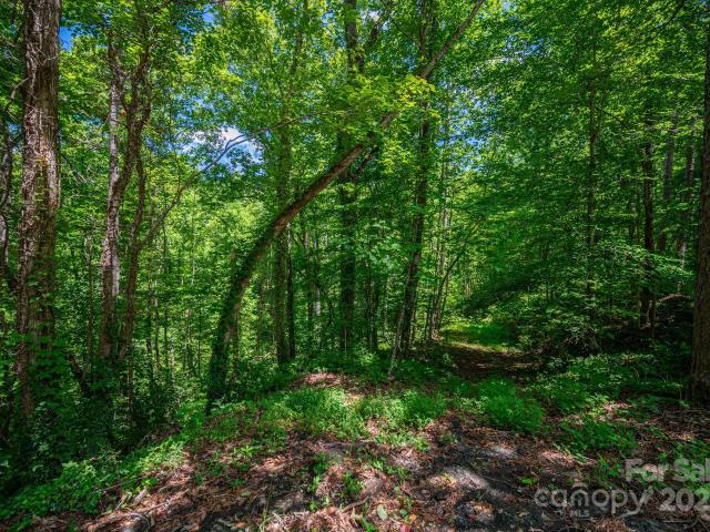 Lot 168 Plantation Dr, Rutherfordton, NC 28139 | MLS #4288