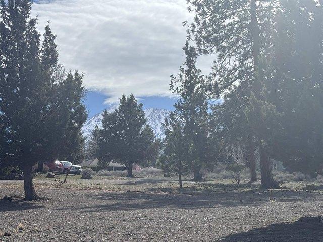 Lot 169 Fox Ct Unit 7 2, Weed, CA 96094