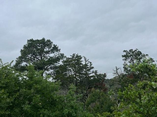 Lot 1603 Ulupau Cir, Bastrop, TX 78602 | MLS #6312
