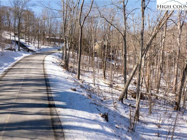 Lot 160 TBD Grouse Moor Dr