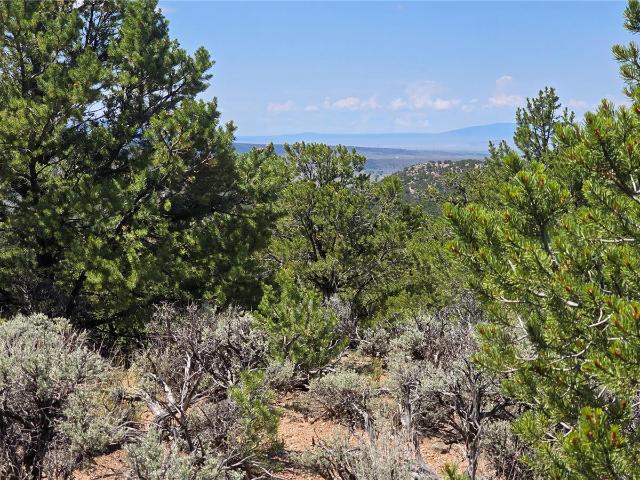 Lot 1615 Dunn Rd, San Luis, CO 81152 | MLS #4175
