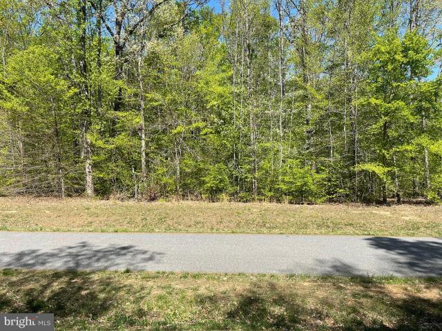 Lot 161 New Dawn Ct, Bumpass, VA 23024 | MLS #VALA2009 | Compass
