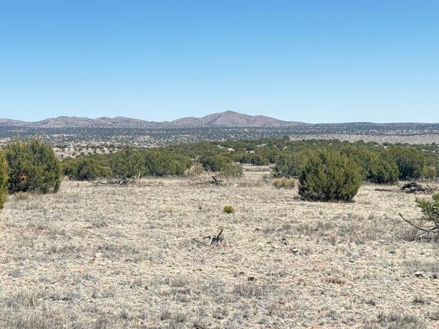 Lot 161 Pinon Springs