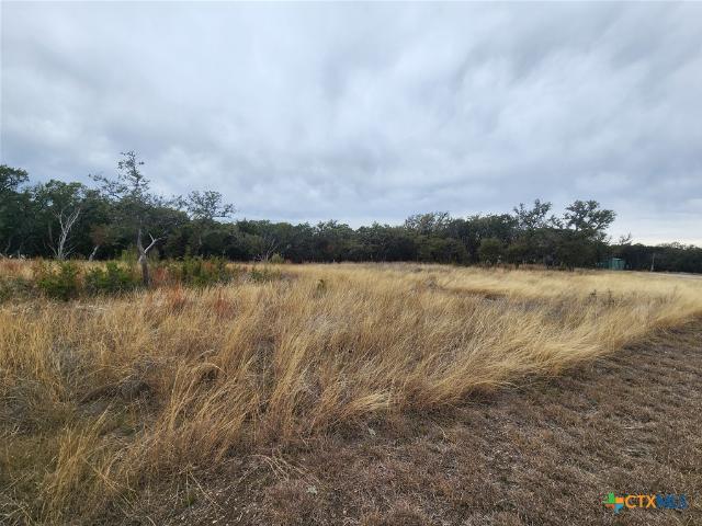 Lot 162 Addax Court