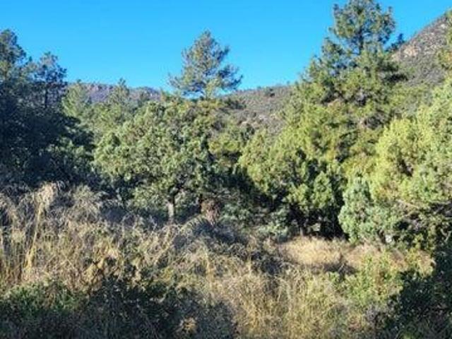 Lot 163 N Portal Drive # 163